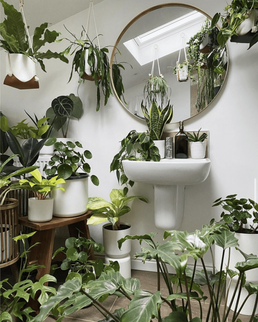 17 Beautiful Indoor Plants Decor Ideas To Enhance Your Home - Astrapearl