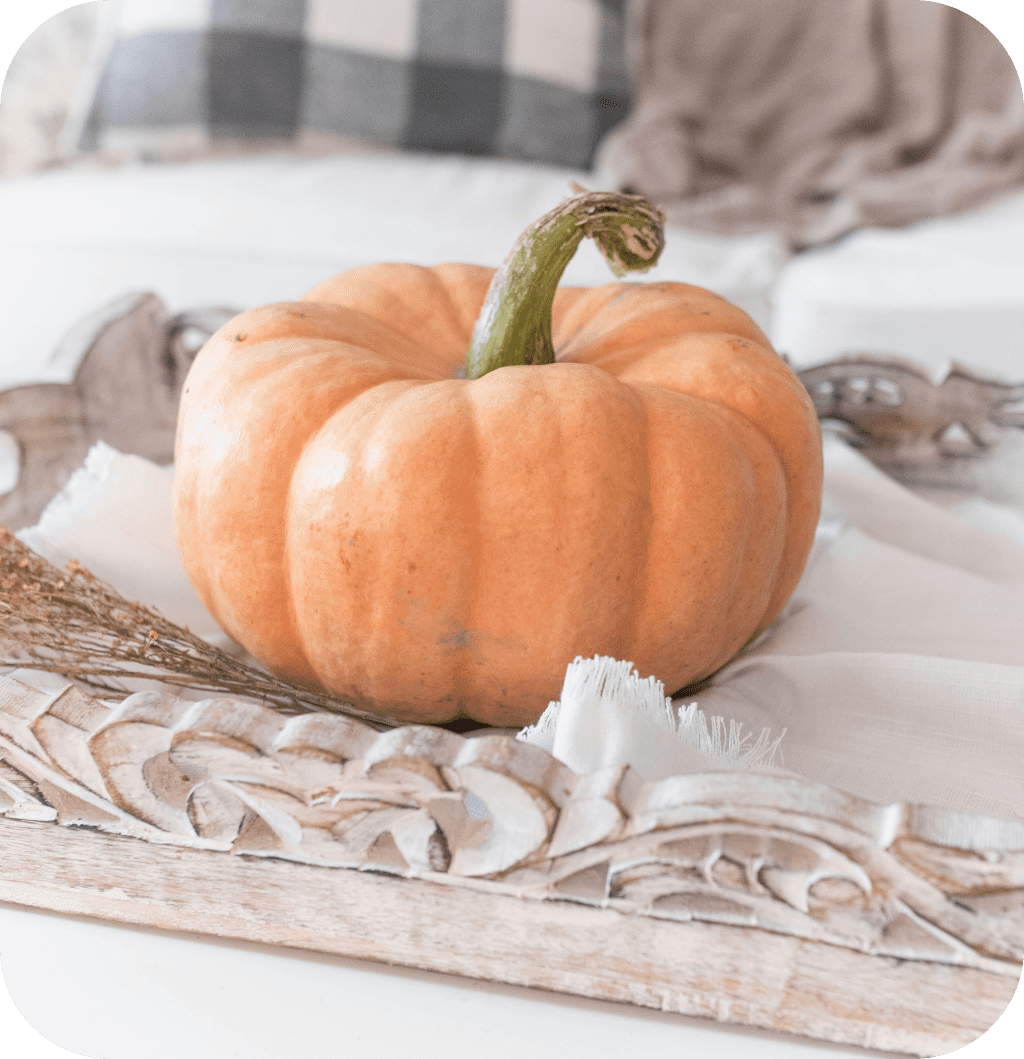 20 Elegant Fall Tray Decor Ideas For A Cozy Home - Astrapearl